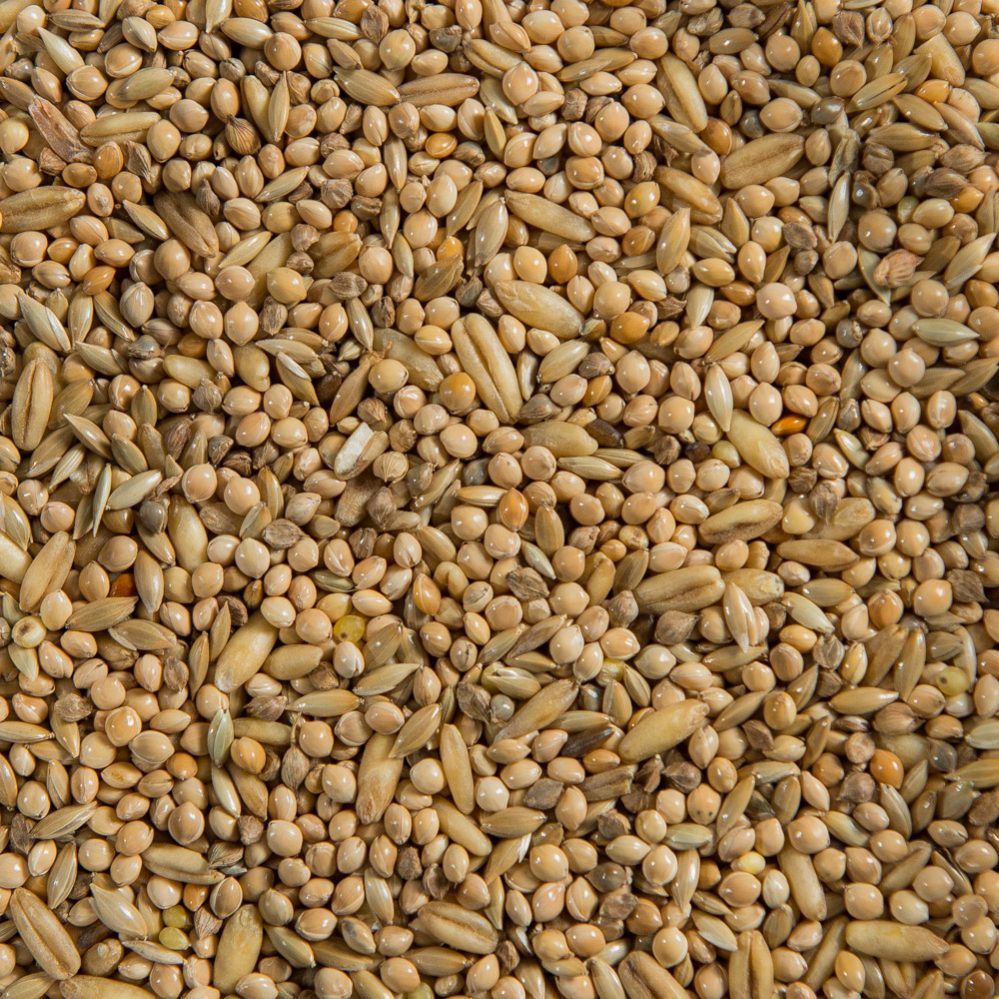 Variety Mixture – Moore's Seeds