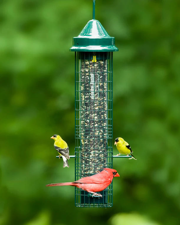 Squirrel Buster® Classic – Moore's Seeds